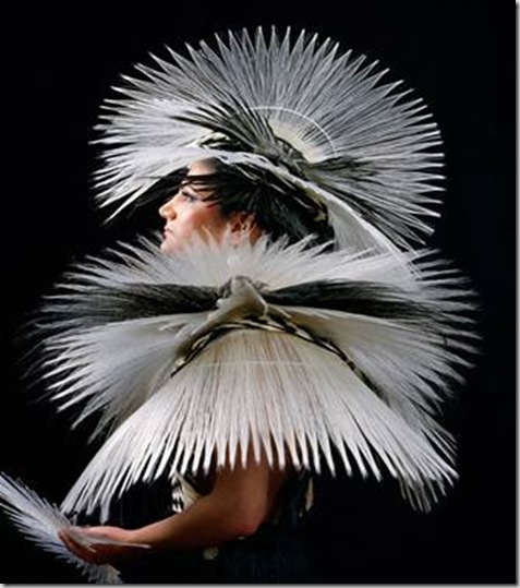 OLTRE IL MURO: ARTE e FOTOGRAFIA: DAVID YELLEN, HAIR WARS